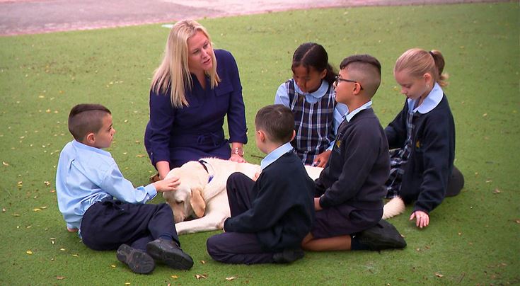 Our Story | Trinity Catholic Primary School | Kemps Creek