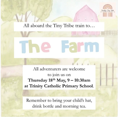 Trinity Catholic Primary School | Kemps Creek