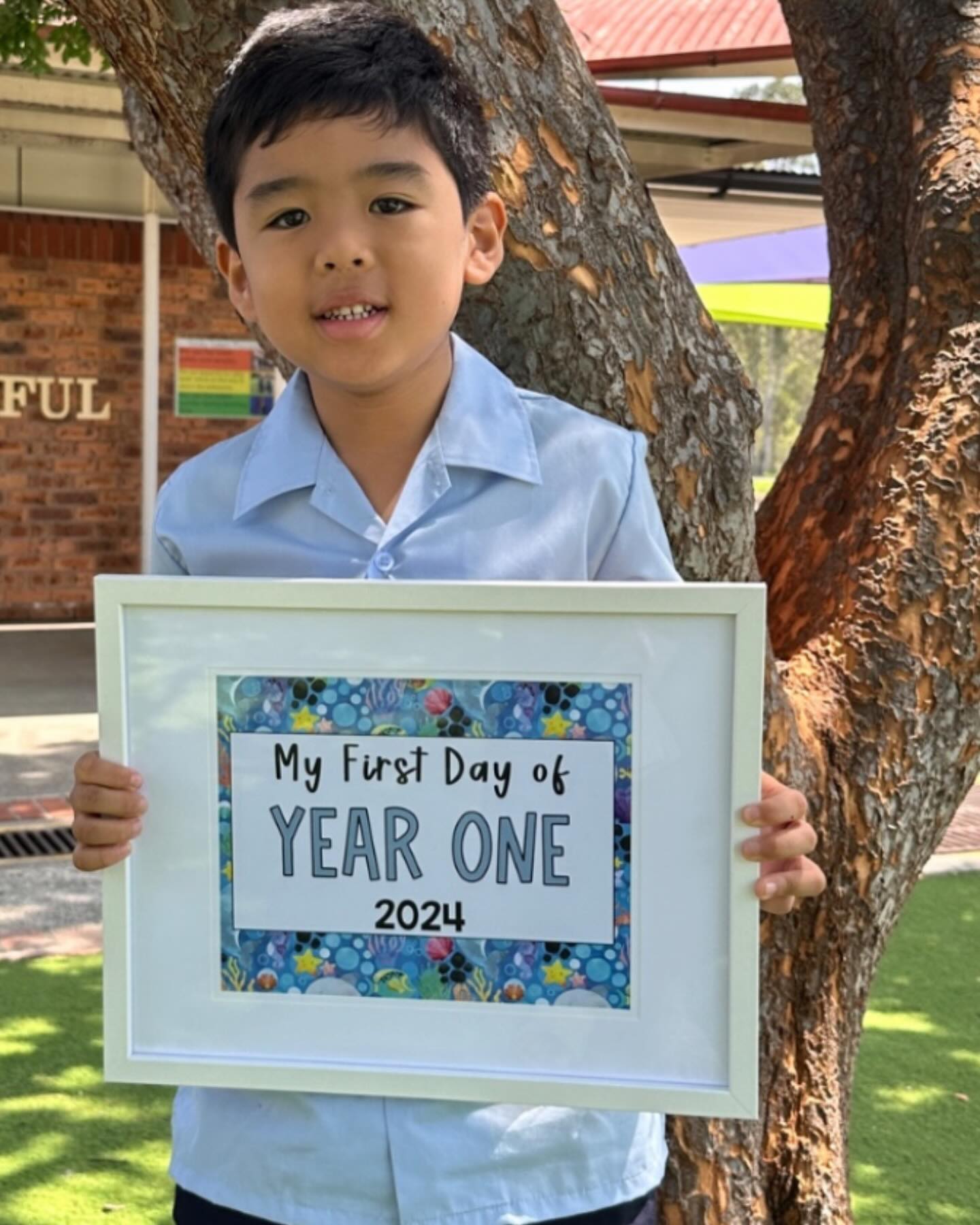 Catholic Primary School Photos | Trinity Kemps Creek